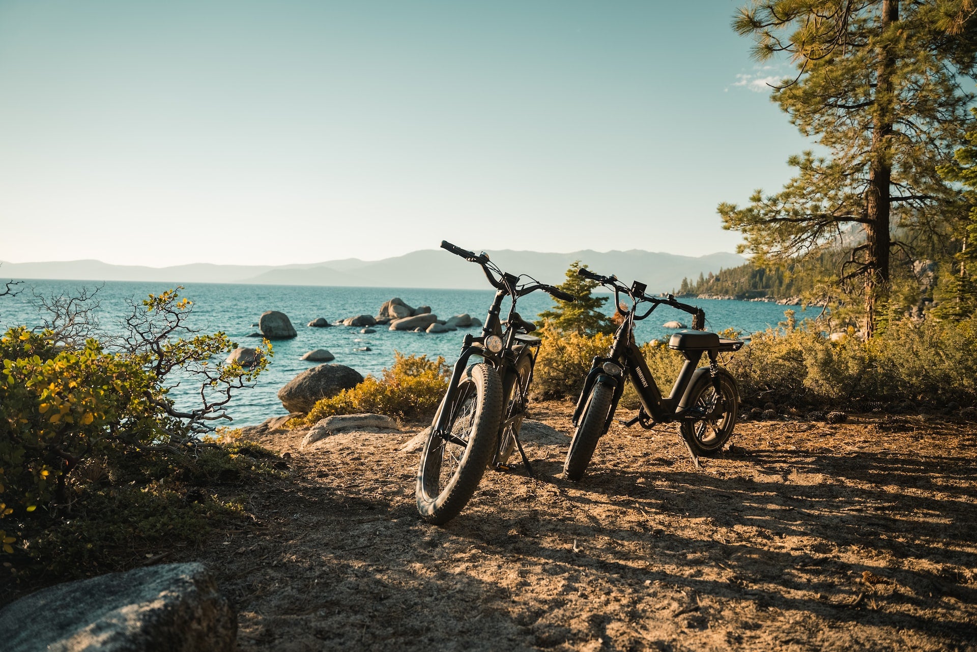 Services – Exalted E-bikes